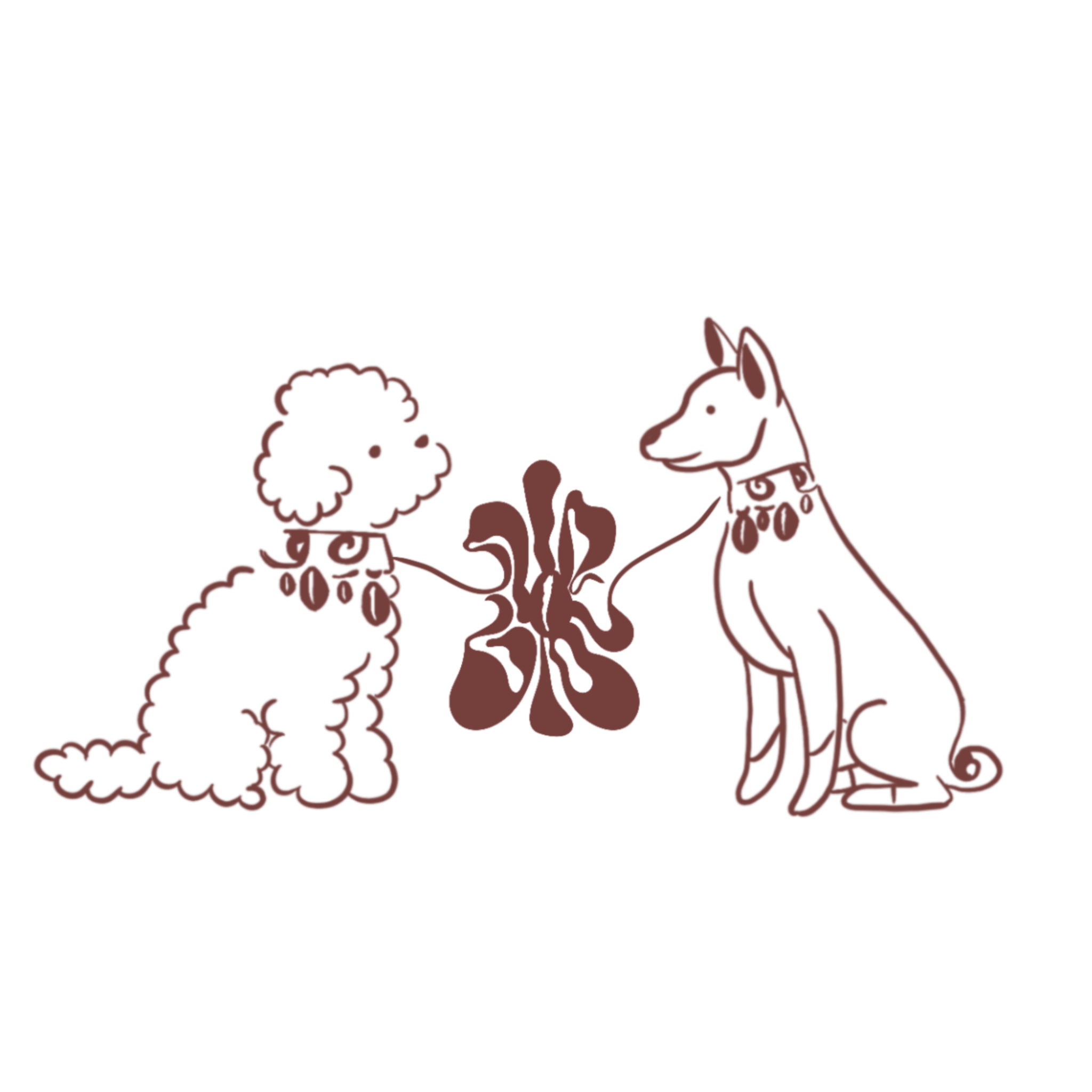 Babaloo Coffee Club | Premium Coffee & Wellness Community Hub